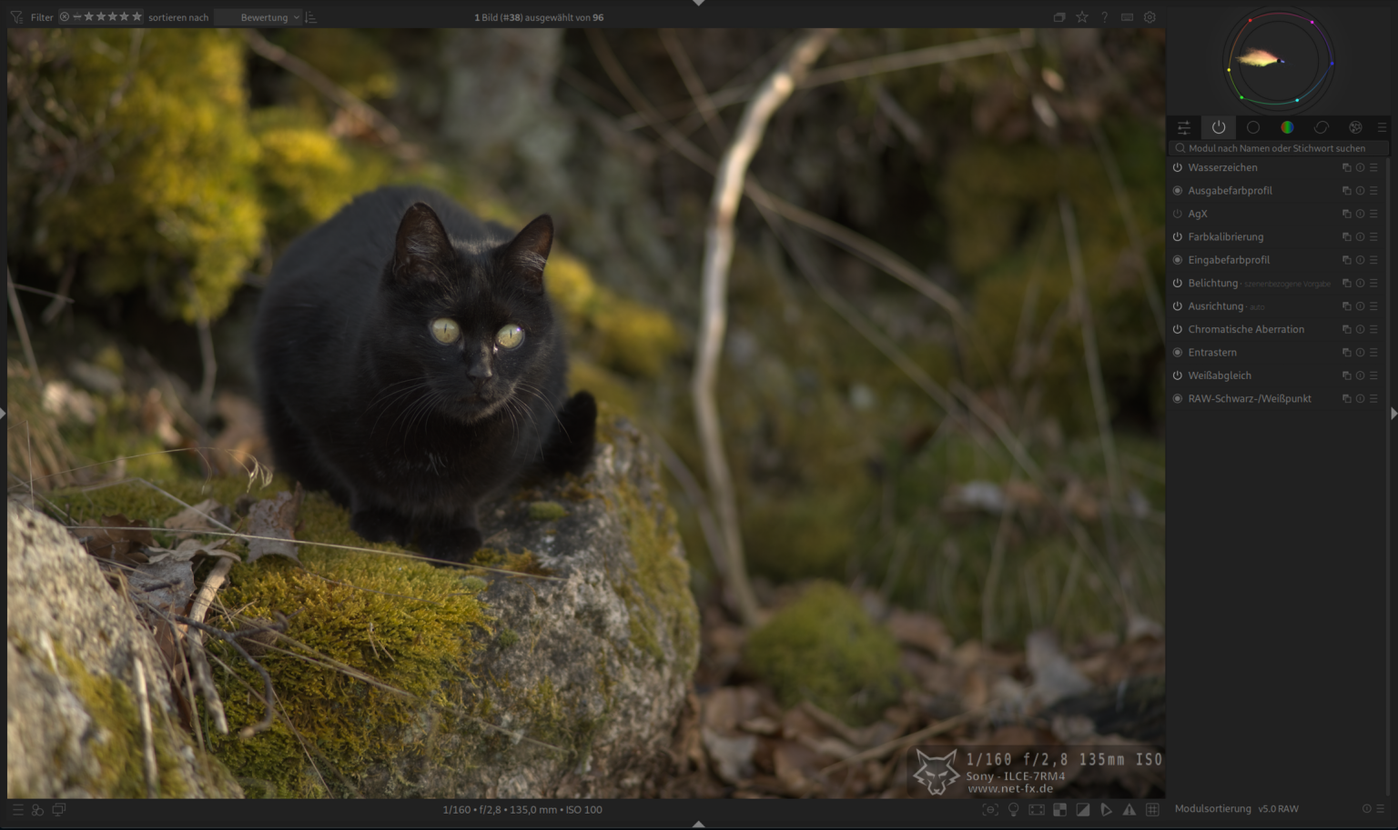 Darktable AgX - Mastering DT 5.4: Workflow, Shortcuts, Themes & AgX