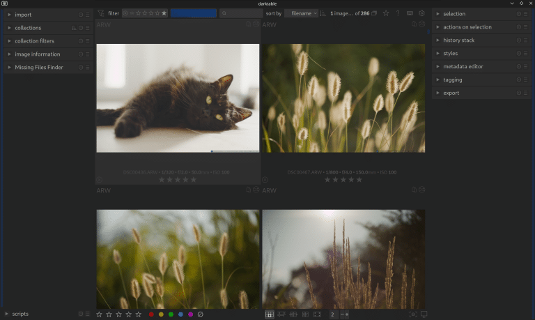 Lighttable - Mastering DT 5.4: Workflow, Shortcuts, Themes & AgX