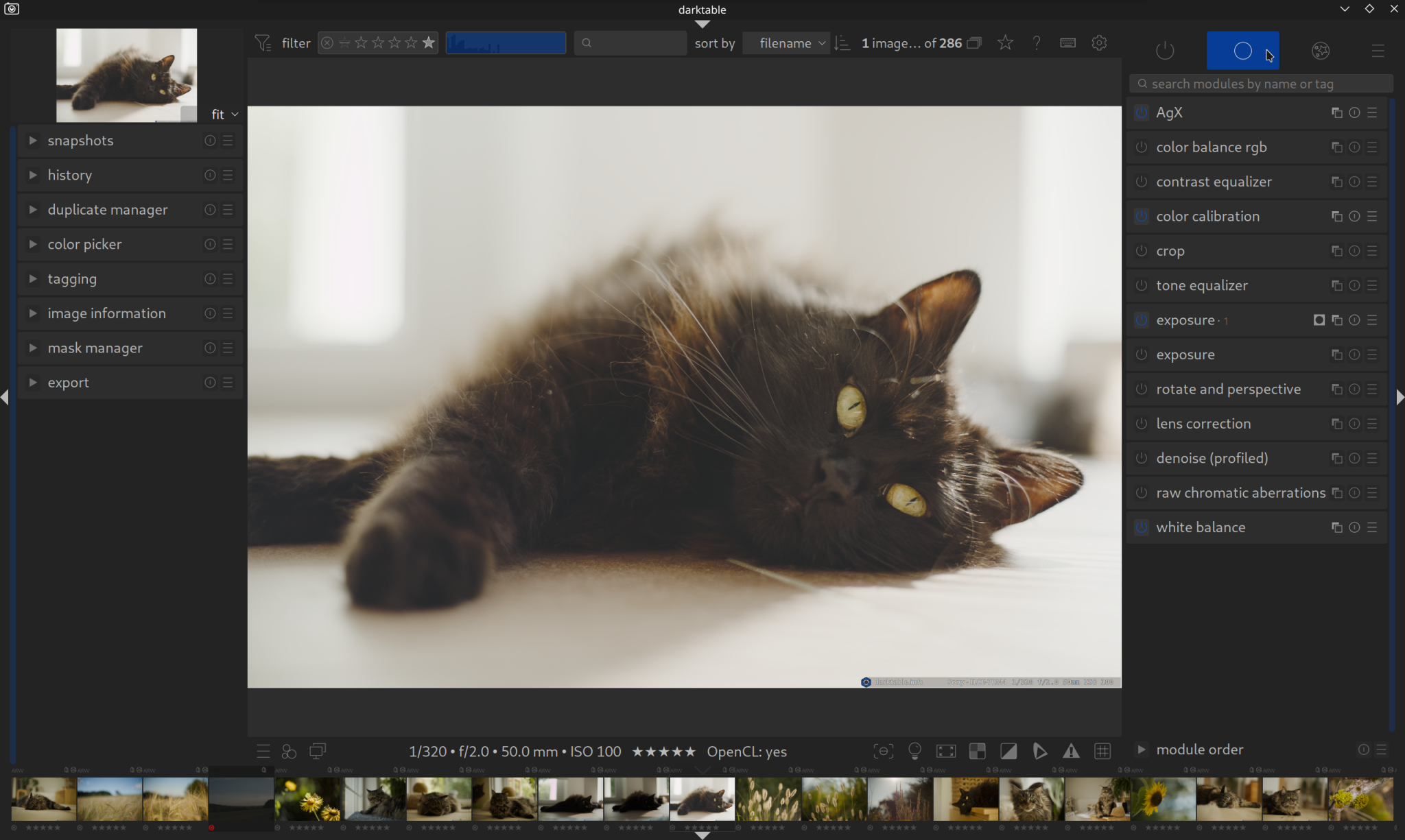 ontwikkelen - darktable.info – Die deutsche Seite zu Darktable 5.4